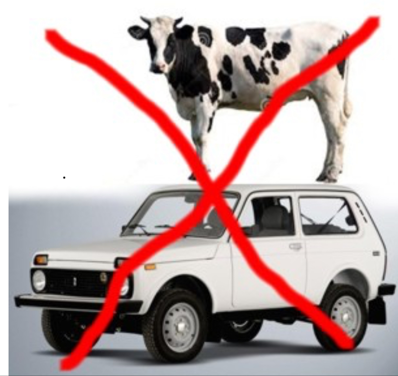 Baca o Vaca? – Ride the Yeti